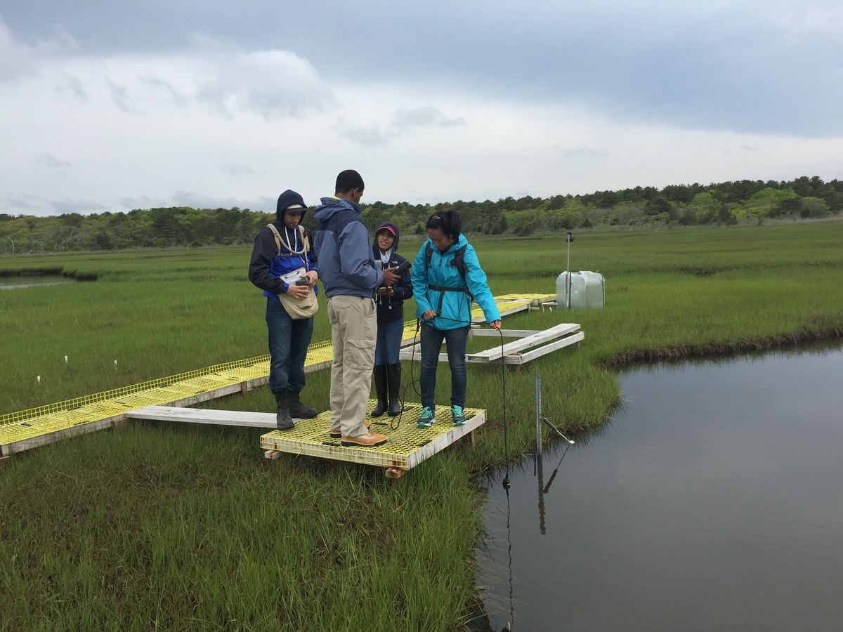 Program Components - ACES